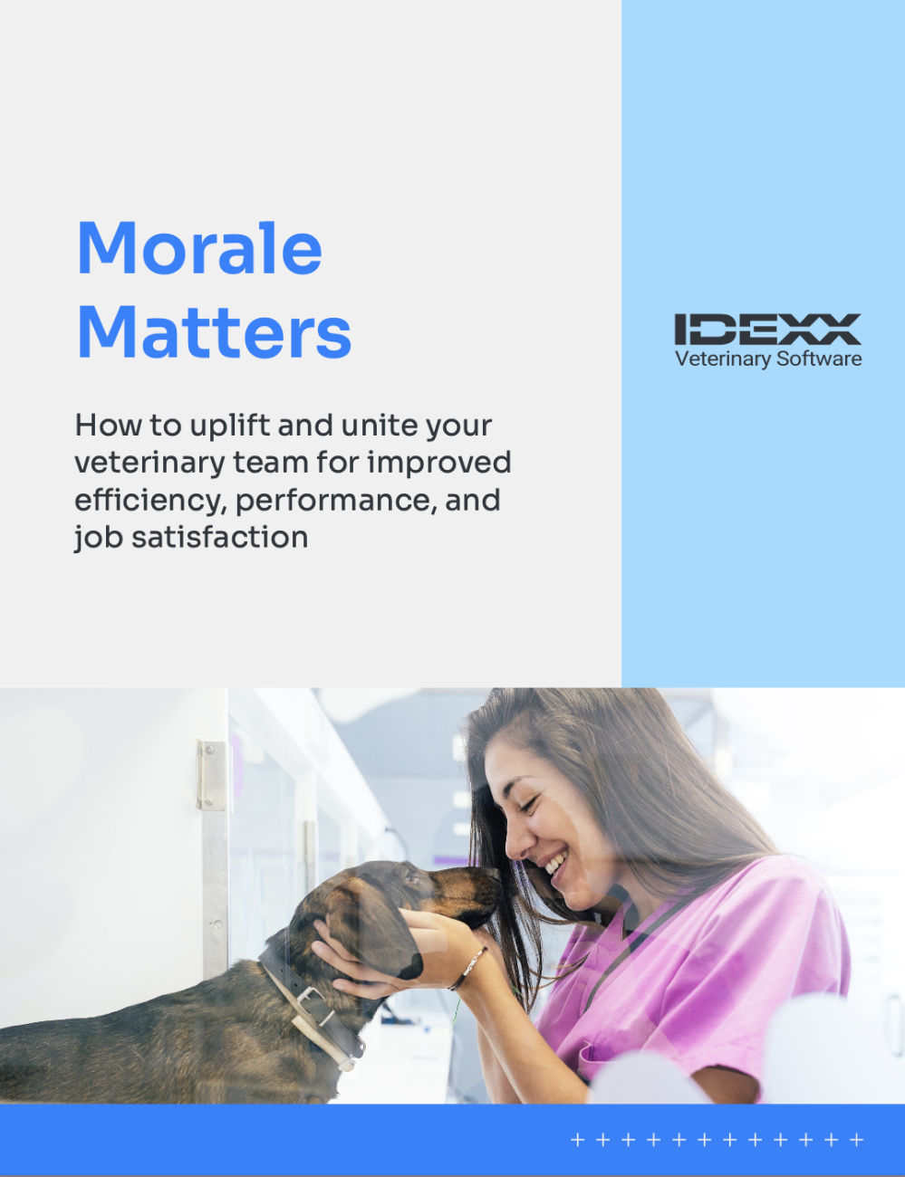 Guide to Improve Veterinary Team's Morale | IDEXX Veterinary Software
